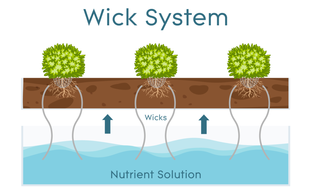 Different Hydroponics Systems and How They Work - AGrowTronics - IIoT ...