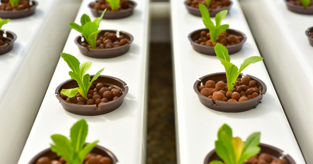 Equipment for Basic Hydroponic System Setups - AGrowTronics - IIoT For ...