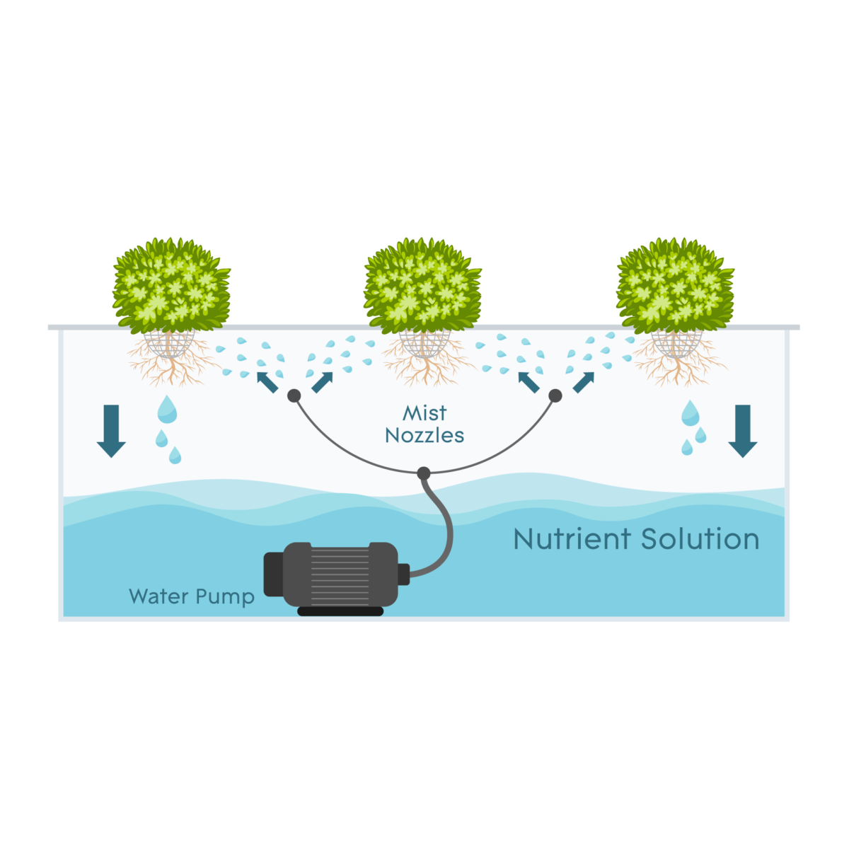 Mist Nozzle Aeroponic Growing System