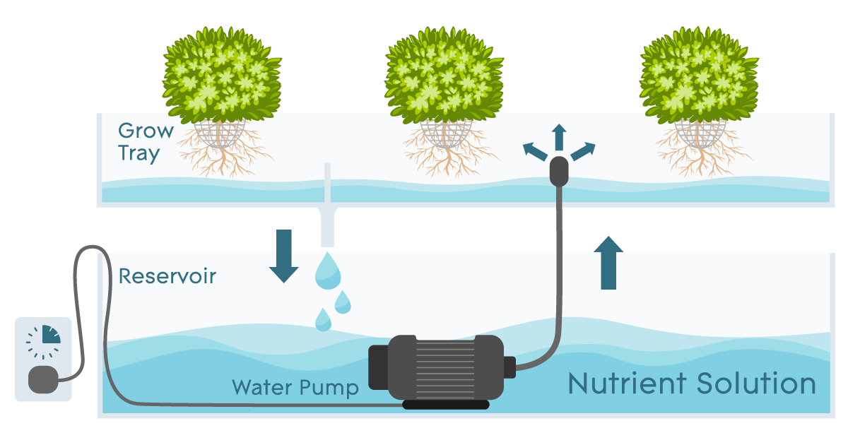 Ebb And Flow Hydroponic System Agrowtronics Iiot For Growing 
