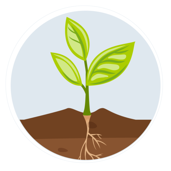Plant Growth Stages: An Overview - AGrowTronics - IIoT For Growing