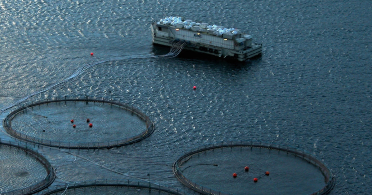 Aquaculture vs. Mariculture - AGrowTronics - IIoT For Growing