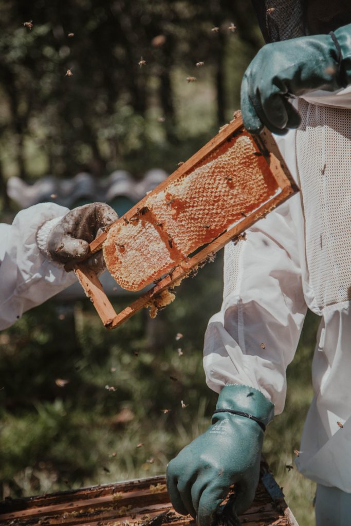 What is an Apiary? - AGrowTronics - IIoT For Growing